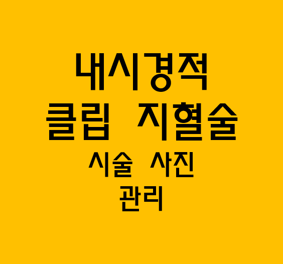 내시경적 클립 지혈술(hemoclip): 시술 사진, 시술 후 Q&A : 네이버 블로그