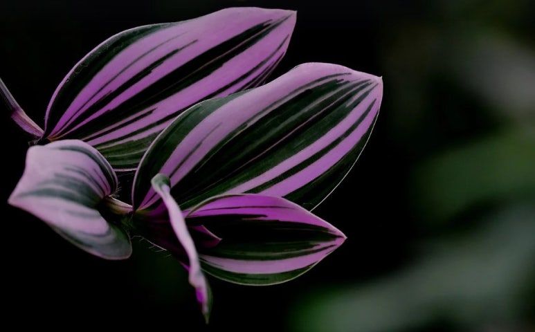 [사도행전16장19절~40절]생명의삶 2023.07.31(월) : 네이버 블로그