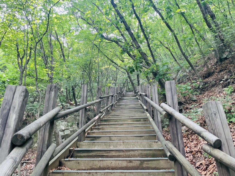경기도 수원 광교산 등산코스 상광교 시루봉 형제봉 반딧불이화장실 네이버 블로그