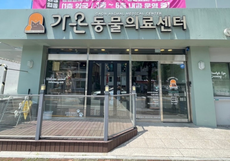 창원 동물병원 슬개골 수술 가온동물의료센터 : 네이버 블로그