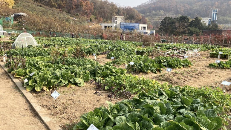 도시지역內 농지 취득시 농취증 필요할까 네이버 블로그