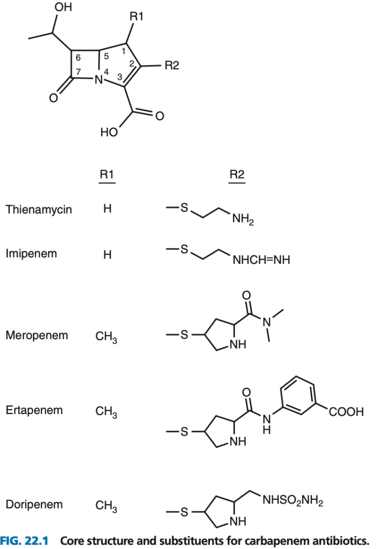 [항생제 정리] Carbapenem 계열 (감수성 및 내성, 적응증, 부작용 등) : 네이버 블로그