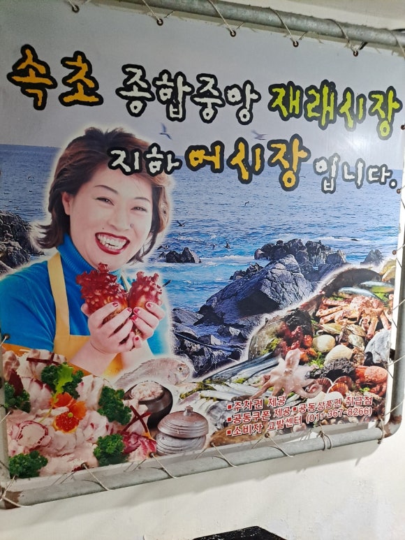 속초종합중앙시장가면 꼭추천 먹어야 할 음식들 🦪 네이버 블로그