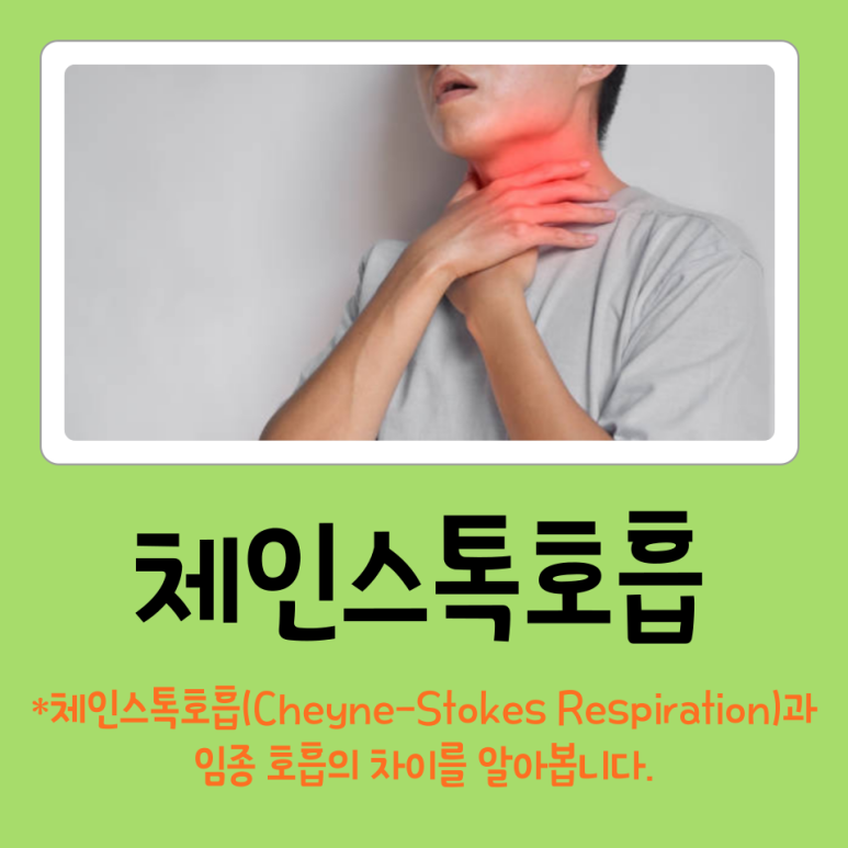 체인스톡호흡이란? (Cheyne-Stokes respiration) 임종 호흡과의 차이 : 네이버 블로그
