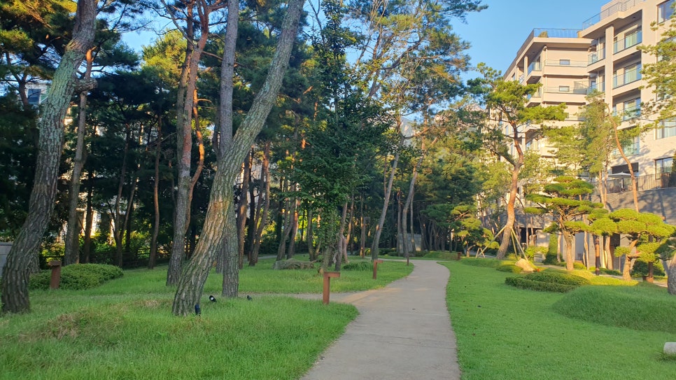 북한산 둘레길 21코스 우이령길 교현리에서 우이 전철역까지 초보 달리기 네이버 블로그