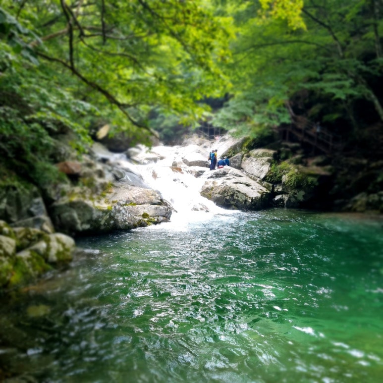 [함양 여행] 지리산칠선계곡ㆍ추성주차장ㆍ칠선계곡탐방로ㆍ 두지동마을ㆍ선녀탕ㆍ옥녀탕ㆍ비선담ㆍ국립공원공단 예약 시스템 : 네이버 블로그