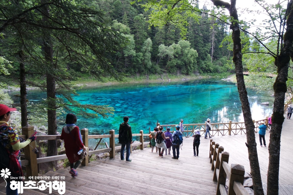 중국여행지추천 구채구,황룡,사천성 트레킹 코스 : 네이버 블로그