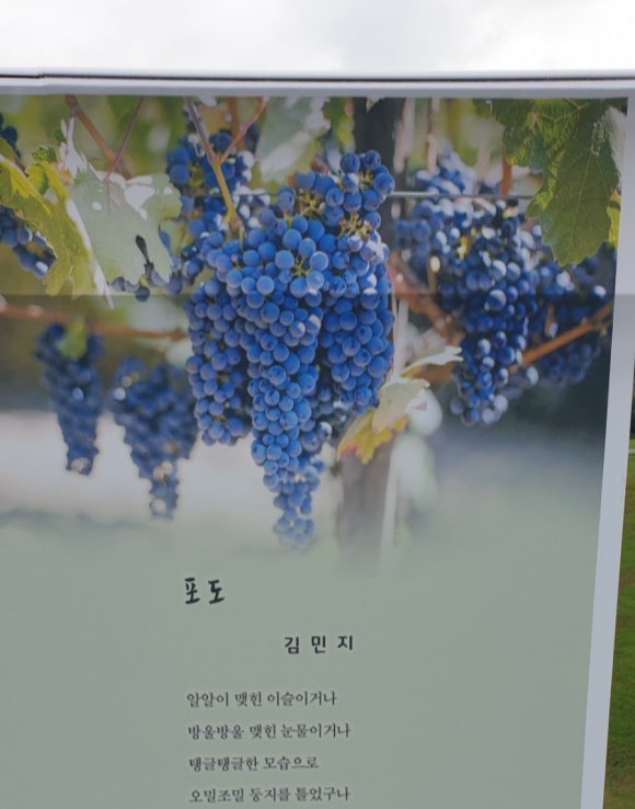 공원 시화전 : 네이버 블로그