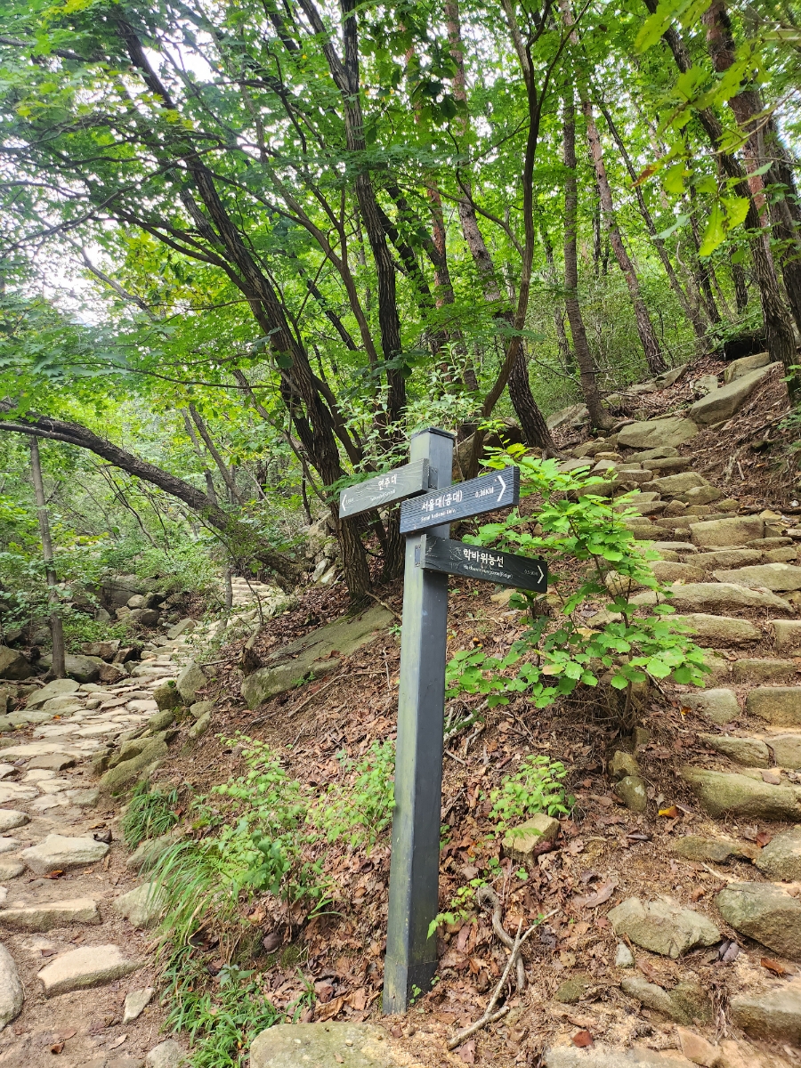 관악산 관악산 등반자를 위한 등산 및 하산코스 매우 자세함등린이 필독 네이버 블로그