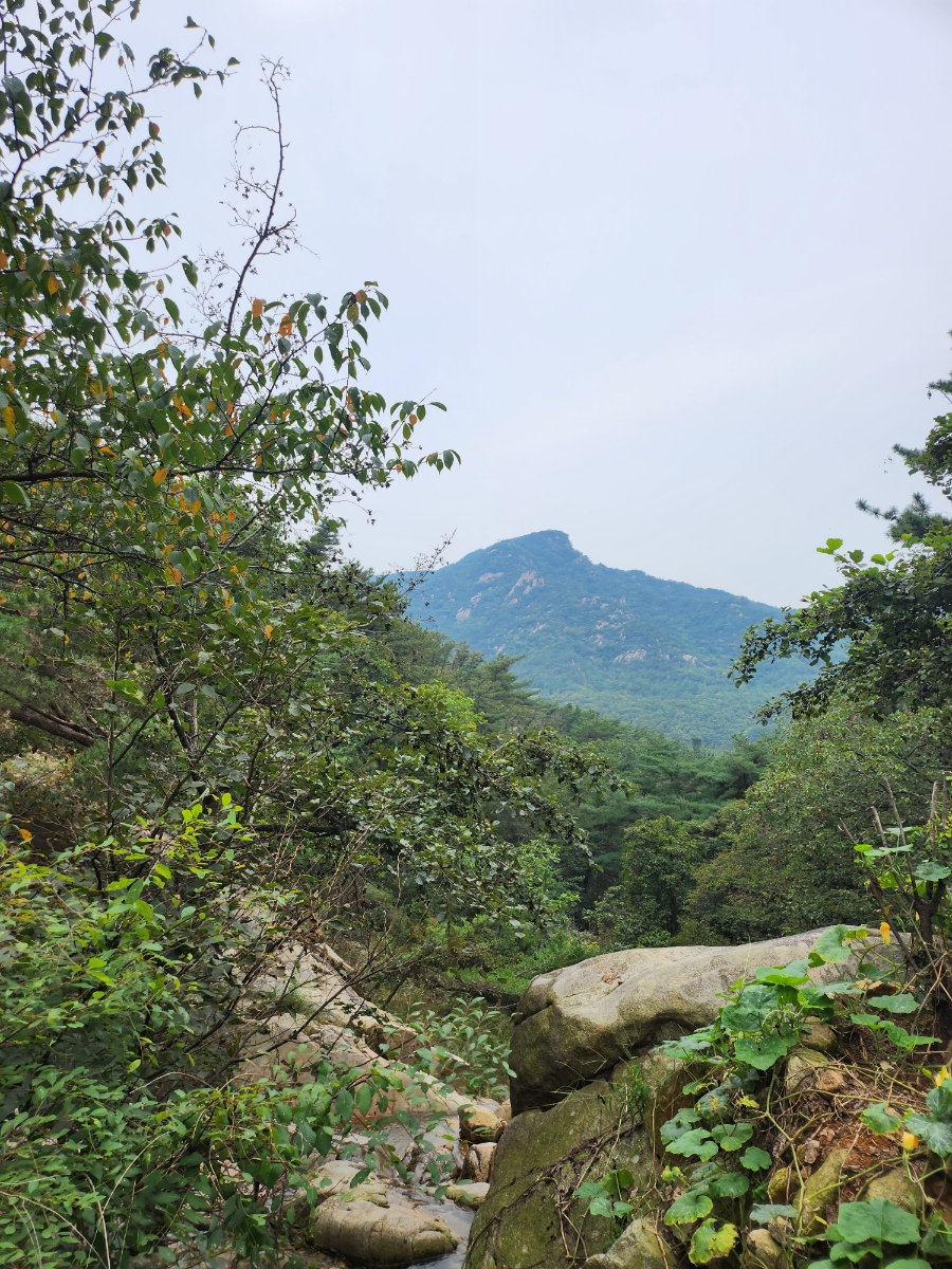 관악산 관악산 등반자를 위한 등산 및 하산코스 매우 자세함등린이 필독 네이버 블로그