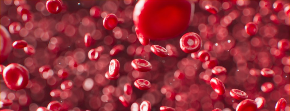 Denogan(데노간) 해열제 - 신규간호사라면 꼭 알아야 하는 약물! : 네이버 블로그