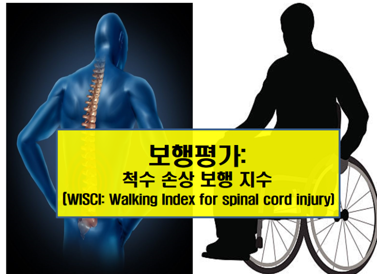보행평가: 척수 손상 보행 지수(WISCI: Walking index for spinal cord injury) : 네이버 블로그