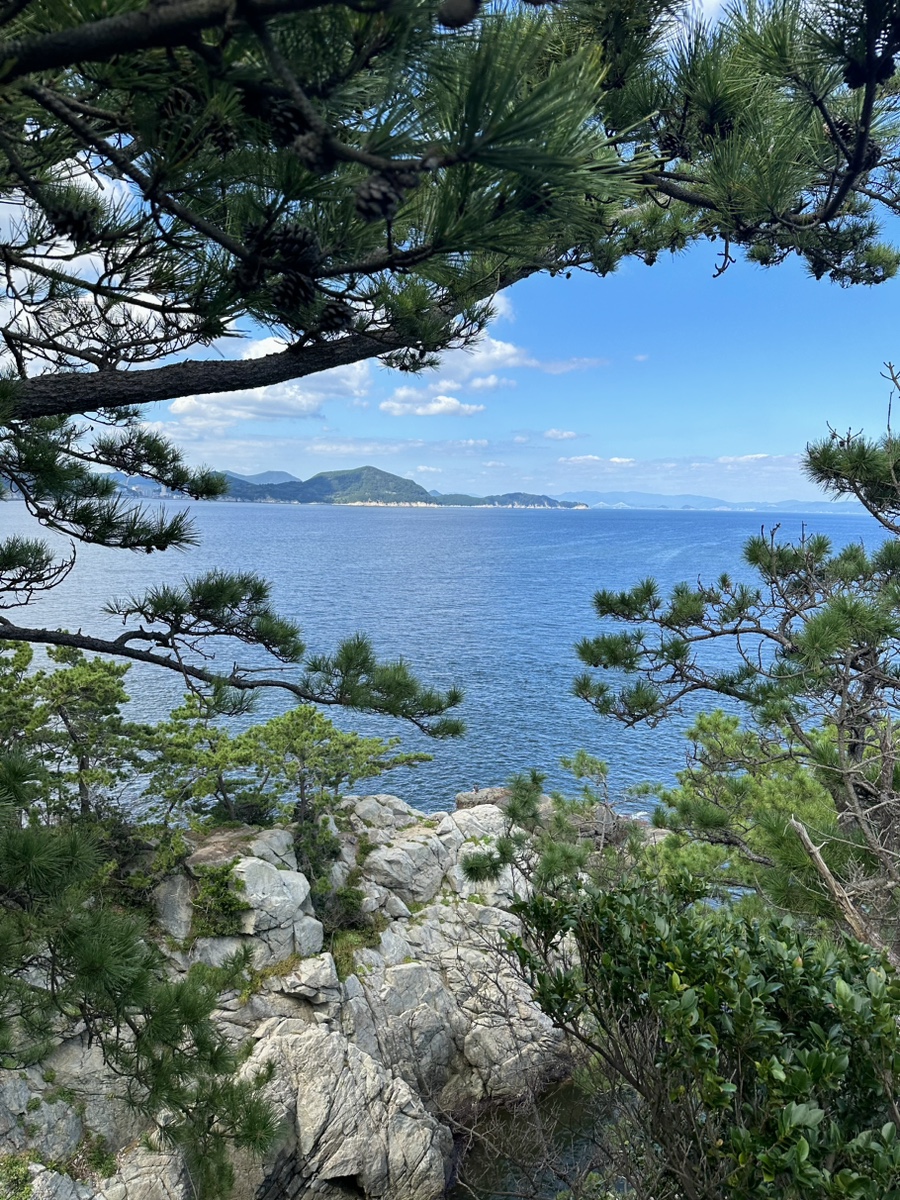 거제도 가볼만한곳 거제 섬여행 지심도 동백섬 배편 요금 및 정보 네이버 블로그