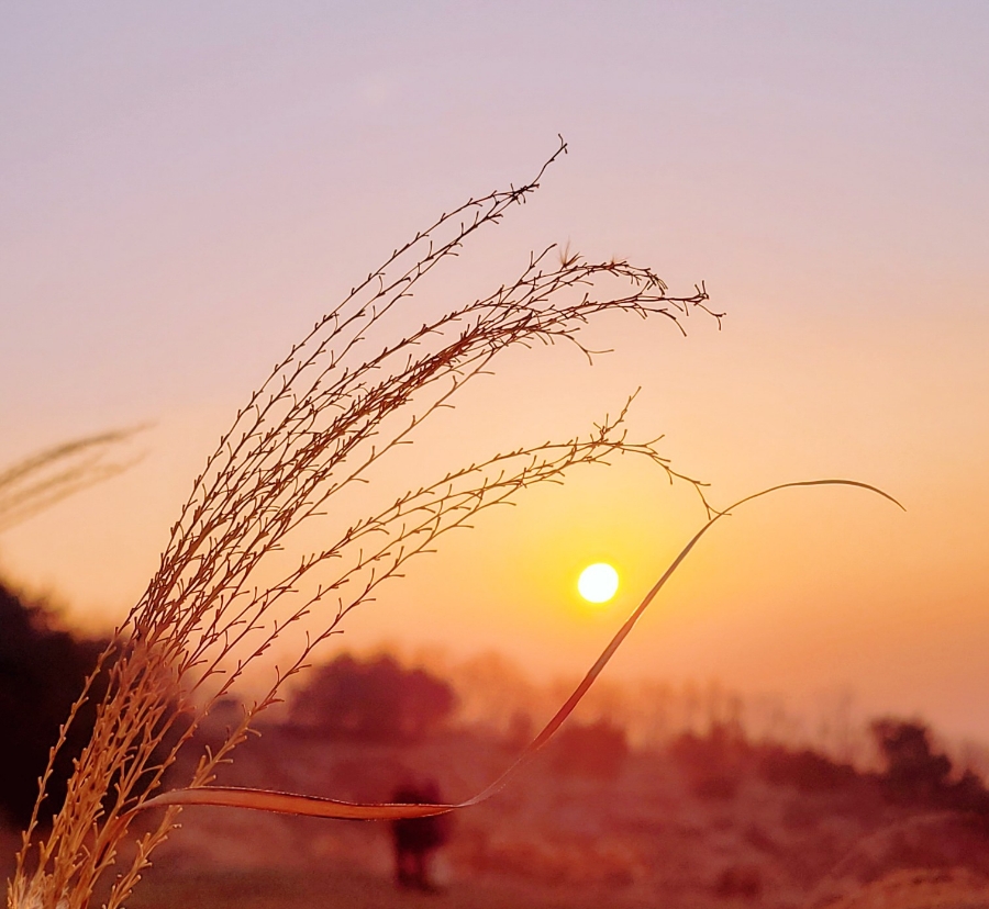 경남해돋이 양산해돋이 에덴벨리일출 : 네이버 블로그