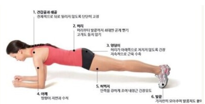 플랭크 효과적인 운동시간 And 플랭크 종류와 5가지 효과 플랭크 운동시 주의사항 네이버 블로그