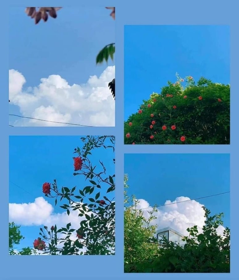 대학생 핵심역량 진단 점수/후기! : K-CESA 검사 : 네이버 블로그