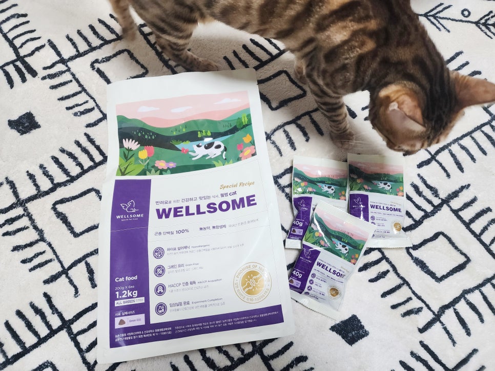 고양이 곤충 사료 친환경 곤충 단백질 웰썸 : 네이버 블로그