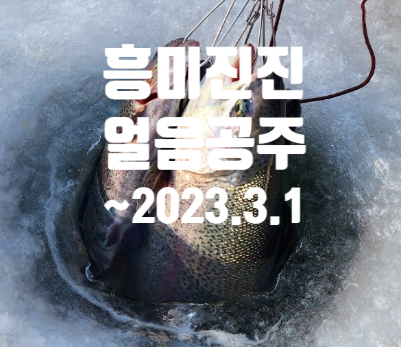 제1회 흥미진진얼음공주 충청남도 공주에서 즐기는 얼음낚시 축제! : 네이버 블로그