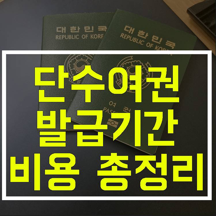 단수여권 발급기간 비용까지 총정리 네이버 블로그