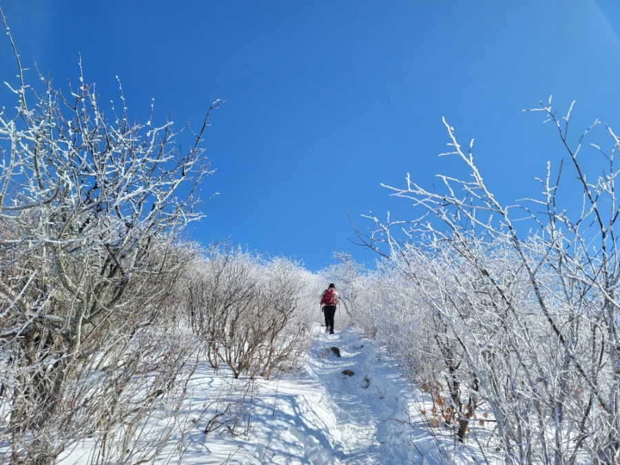강원도 겨울 눈꽃산행지 추천 계방산 등산코스 기록 운두령 자동차 야영장 산행 코스 네이버 블로그