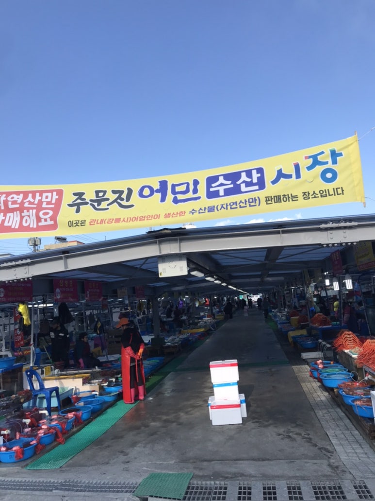 주문진 어민수산시장 가격정보2월 1일 네이버 블로그