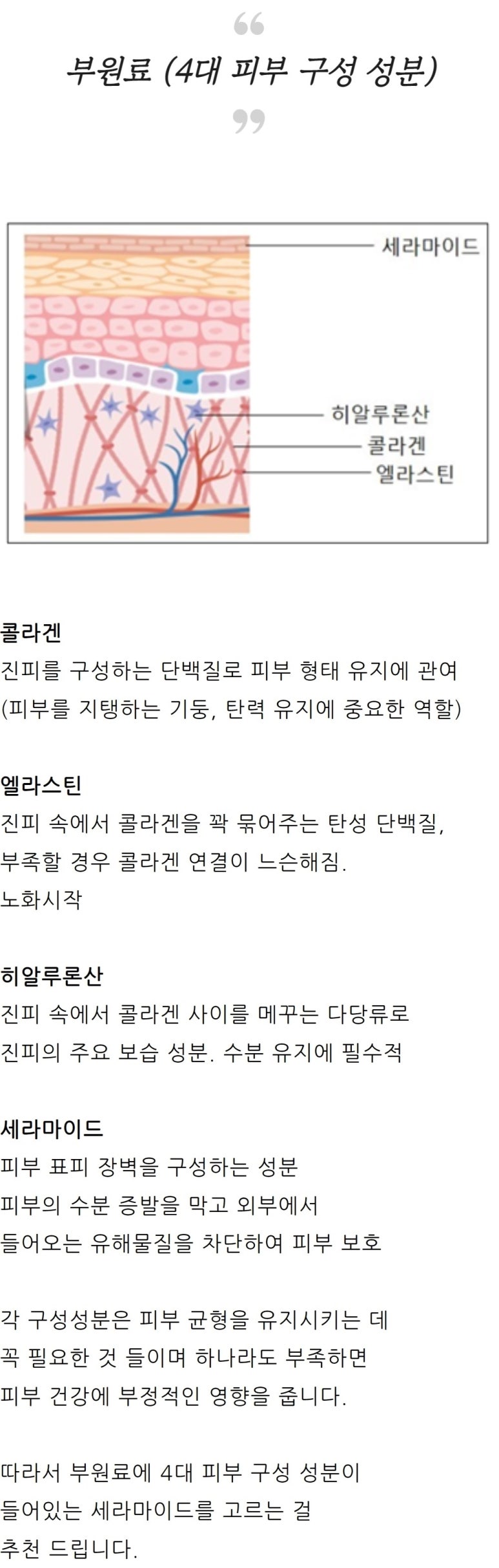 먹는 세라마이드 성분 세라마이드 효능 핵심 비교 네이버 블로그