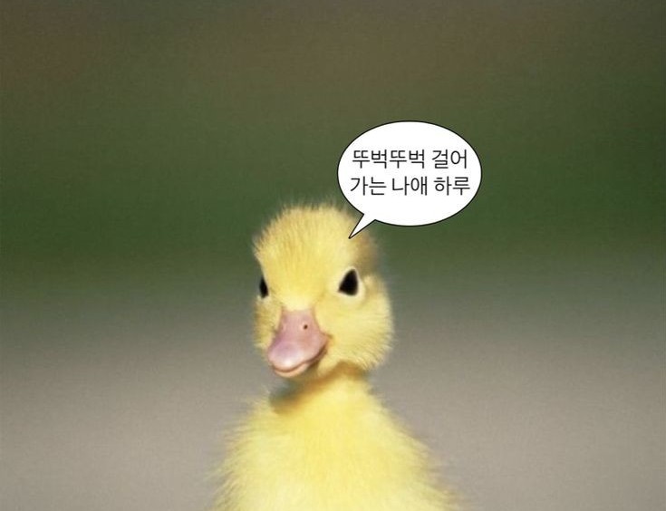 늘 같은 곳을 바라보는 너의 그 눈이 좋아 변한 세상에서 너만은 그대로 있어 줘 네이버 블로그