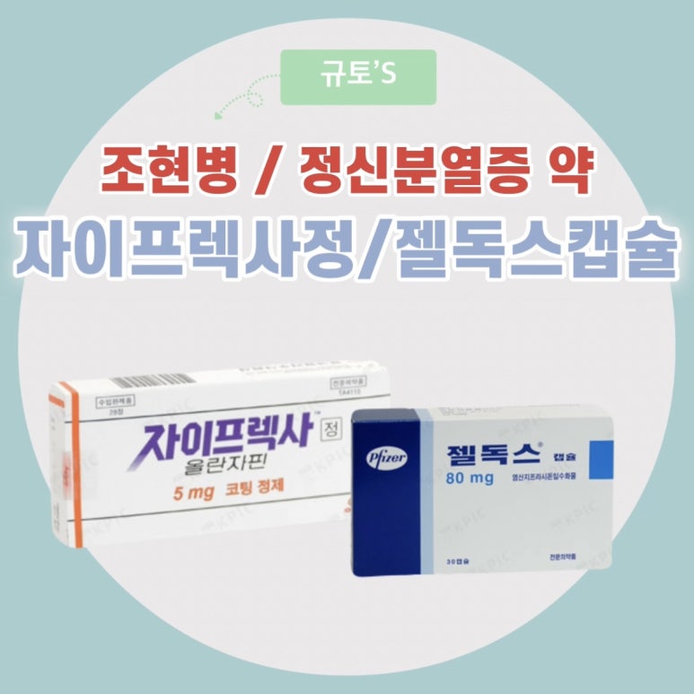 조현병 완치 약 자이프렉사정 젤독스캡슐 리스페달정 복용후기 처방 효능효과 부작용 체중증가 식욕증가 네이버 블로그
