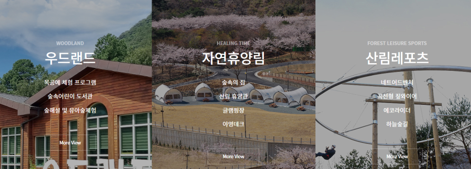 진주 월아산 자연휴양림 숲속의진주 숙박과 우드랜드 산림레포츠 후기 네이버 블로그