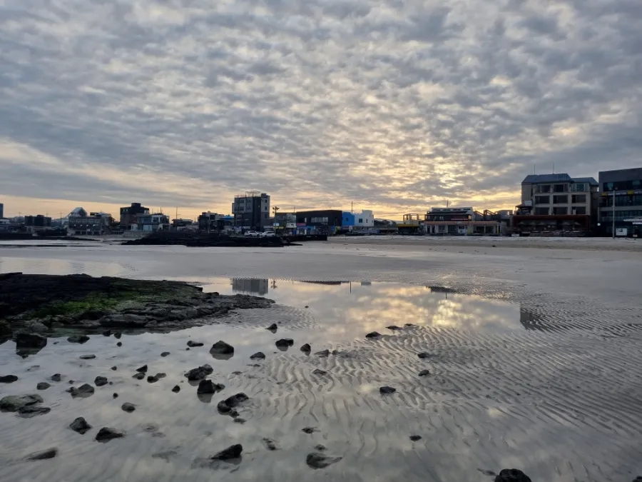 [마침내, 그녀와 바닷가로 아침 산책을 다녀왔다 - 제주 감성 여행 7일째 230212(일)] : 네이버 블로그