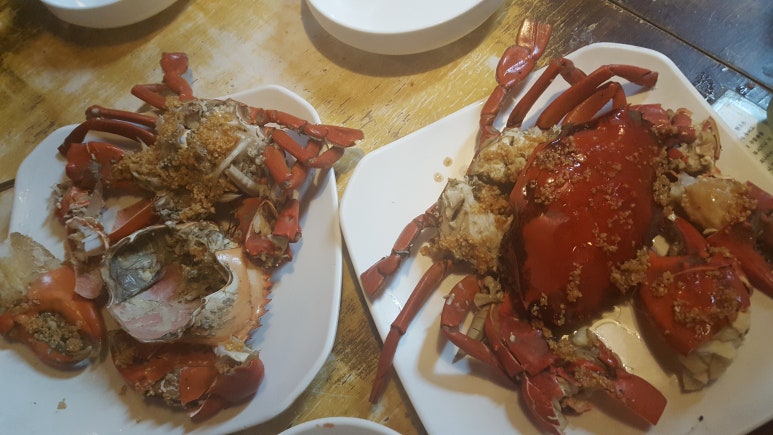 필리핀 세부 여행 후기 가족여행 비행기표예매 세부맛집 산토니뇨처치 산페드로요새 도교사원 탑스힐 아얄라몰 문까페 시푸드아일랜드