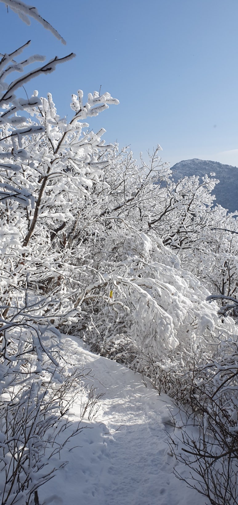 설악산 당일 등산코스 한계령~백담사 코스설악산 설경 산행 네이버 블로그