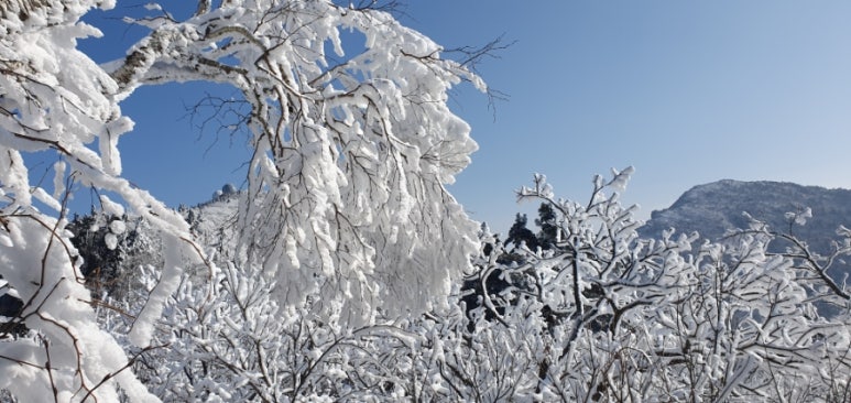 설악산 당일 등산코스 한계령~백담사 코스설악산 설경 산행 네이버 블로그