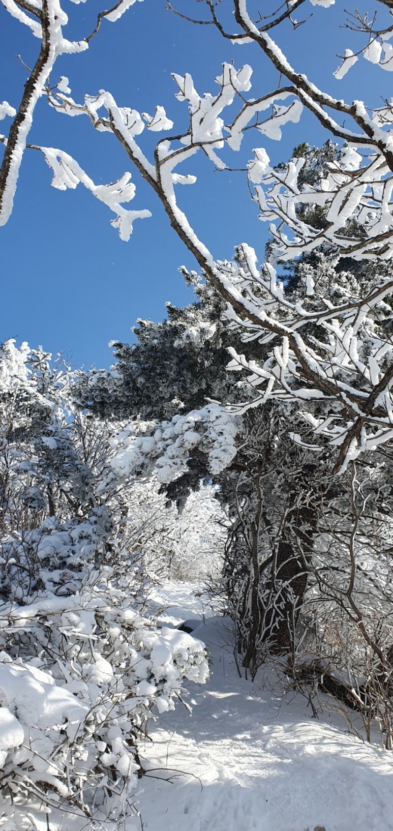설악산 당일 등산코스 한계령~백담사 코스설악산 설경 산행 네이버 블로그