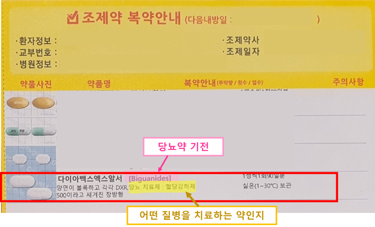 내가 먹는 당뇨약 알기 1편비구아나이드계biguanides 메트포르민 작용기전 복용법 부작용 네이버 블로그