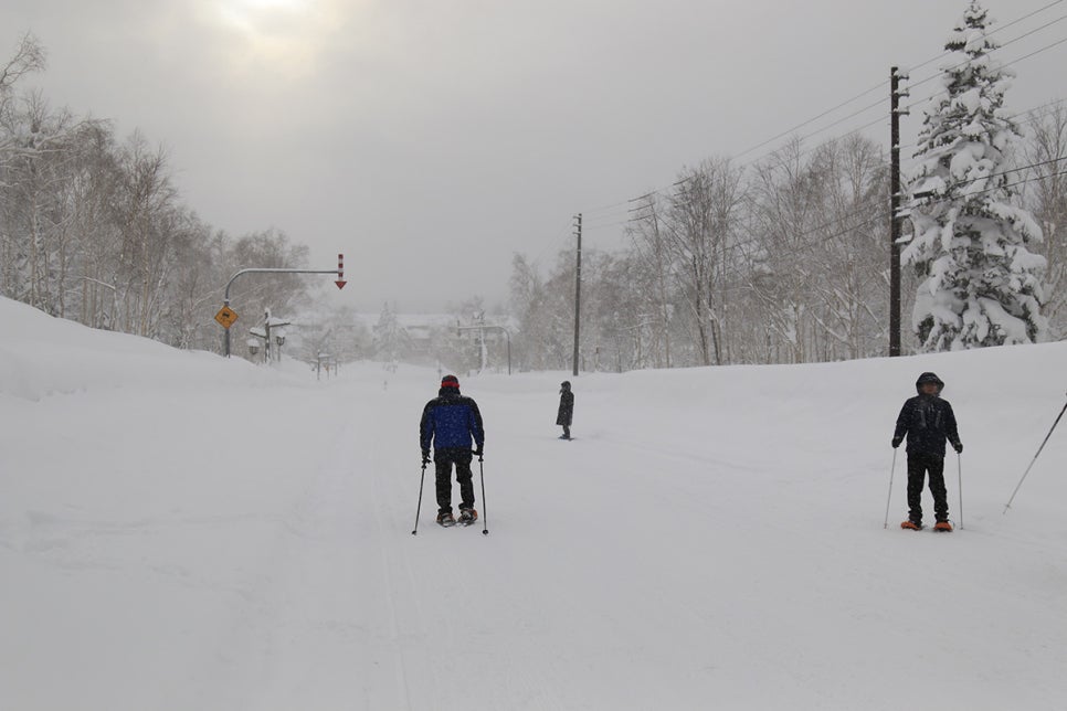순백의 대지 홋카이도를 다시 만나다 2일차-삿포로를 떠나 JR 비에이 역과 진정한 순백의 대지 아사히다케 로프웨이 스노슈 트레킹 ...
