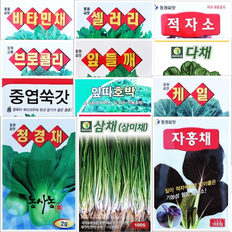 적자소 잎들깨 자홍채 청경채 브로콜리 케일 비타민채 다채 셀러리 다채 잎따호박 삼채 쑥갓 씨앗 종류 심는시기 재배 방법