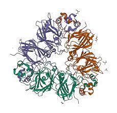 혈액 검사 글로불린(Globuline) 면역글로불린 수치 A/G ratio 정상 참고 수치 : 네이버 블로그