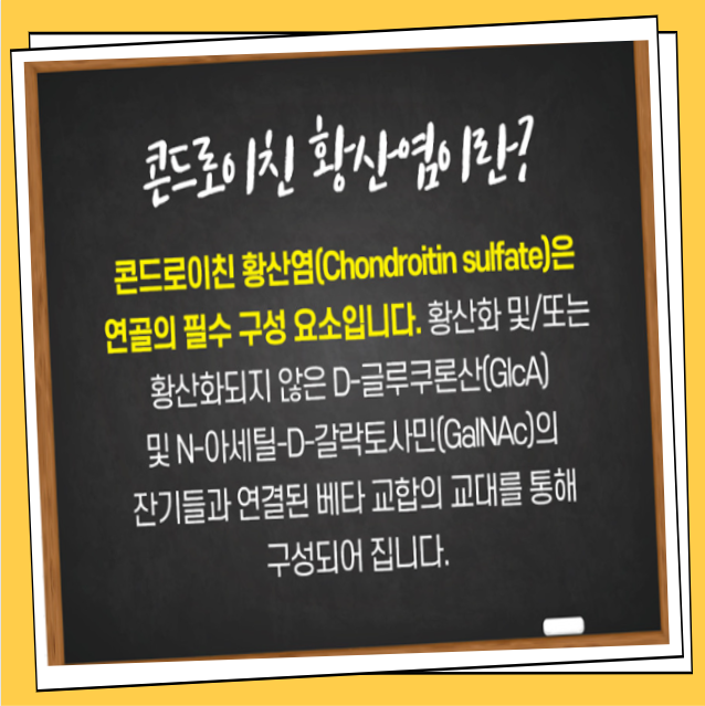 소연골 Vs 상어연골 콘드로이친 비교분석 당신의 선택은 네이버 블로그