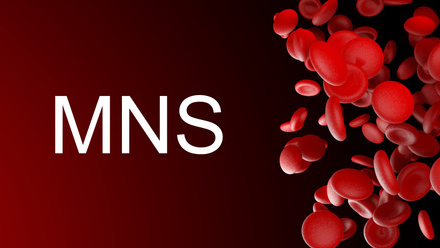 궁금해서 찾아본 MNS 식 혈액형(MNS blood group) - 재미없는 혈액형 이야기. 10 um 적혈구 껍데기에 이렇게 ...