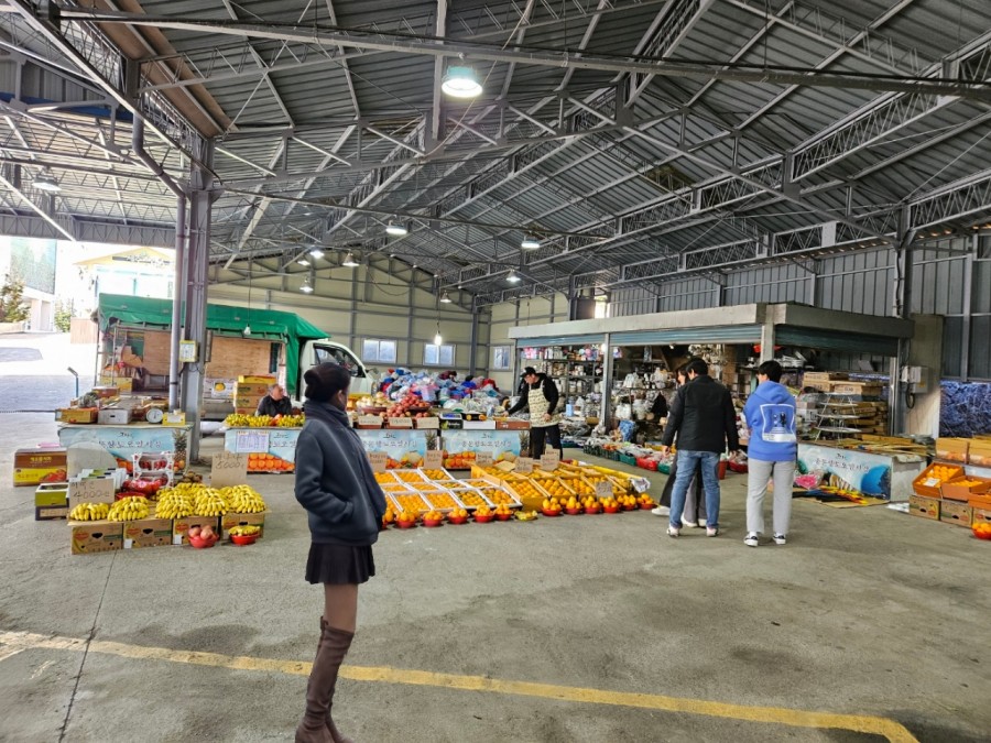 제주 오일장 날짜 시간 And 제주도 서귀포 중문향토오일시장 네이버 블로그
