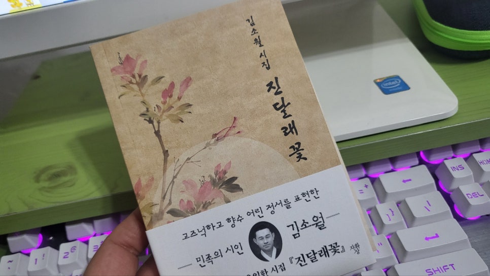김소월 시집 진달래꽃 네이버 블로그