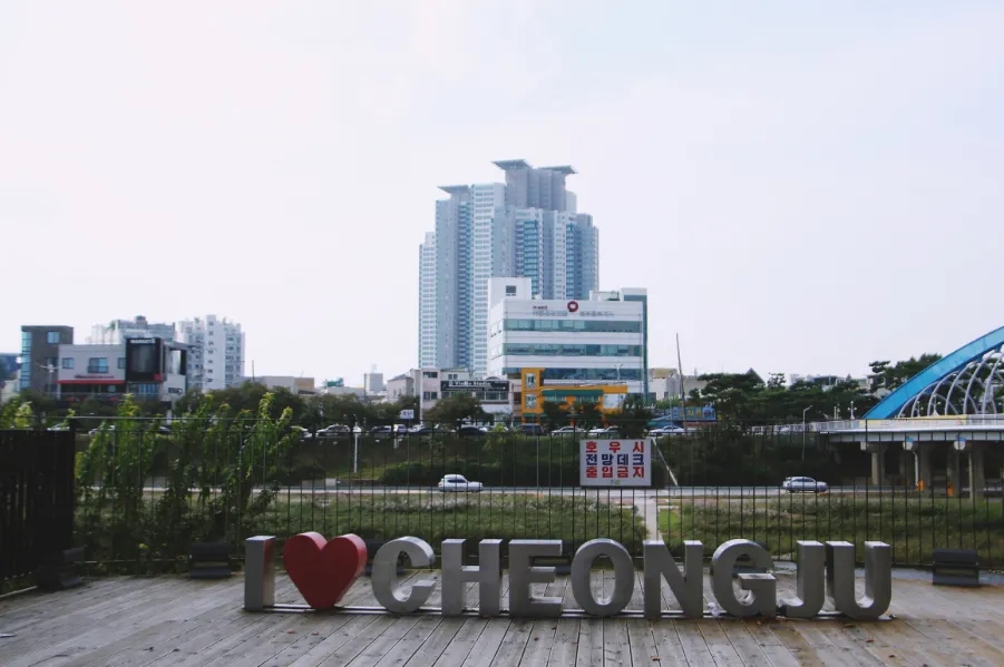 청주 무심천변의 갈대와 억새 이야기! 2023.10.10. : 네이버 블로그