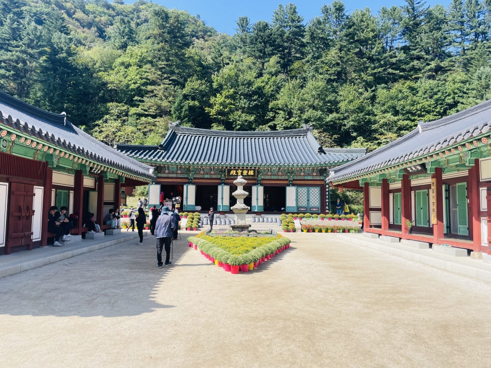 10월가볼만한 곳 강원도 인제 백담사 백담사셔틀버스 네이버 블로그