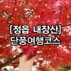 정읍 내장산 내장산 단풍 절정 시기 단풍 생태공원 내장산 단풍 여행 네이버 블로그