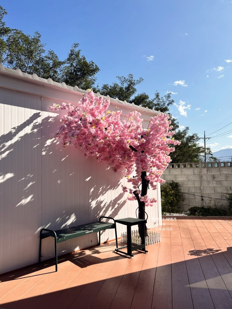 고성커피숍 : 속초여행 카페 ㅇㅇㅈ (아야진) : 네이버 블로그