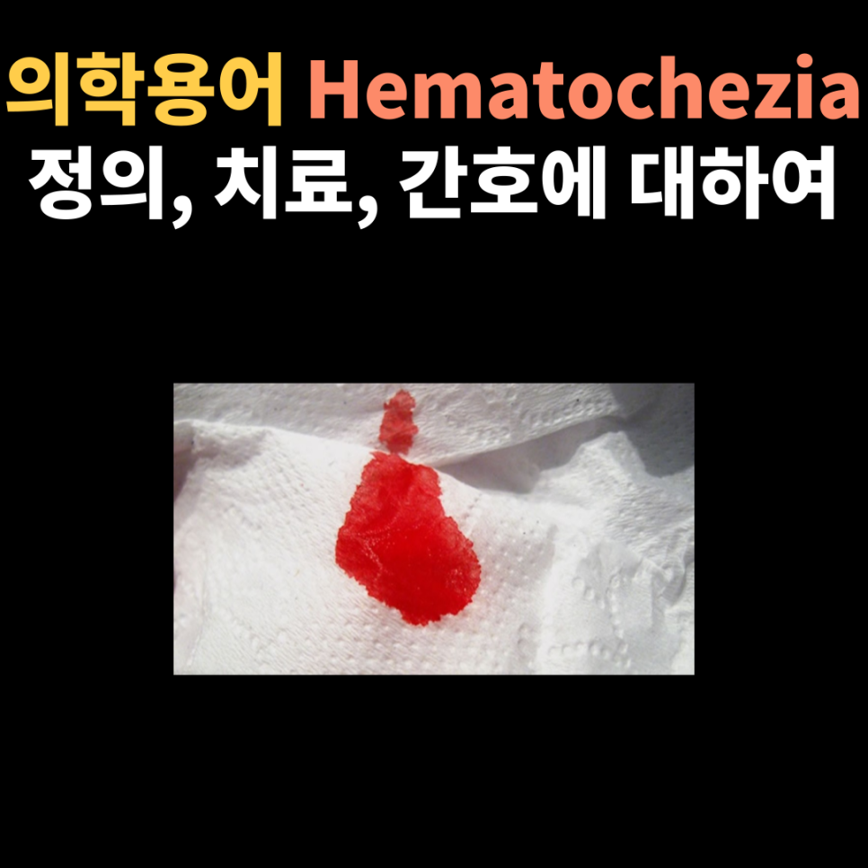 Hematochezia 의학용어 정의, 치료 및 간호에 대해서 알려드려요! : 네이버 블로그