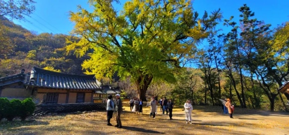 경주운곡서원ㆍ경북천년숲정원 : 네이버 블로그