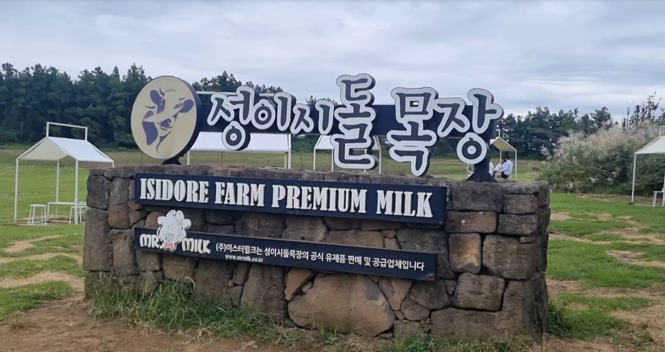 [한똑똑제주] 성이시돌목장 & 우유부단 카페 애견동반 산책 다녀오다 :-) : 네이버 블로그