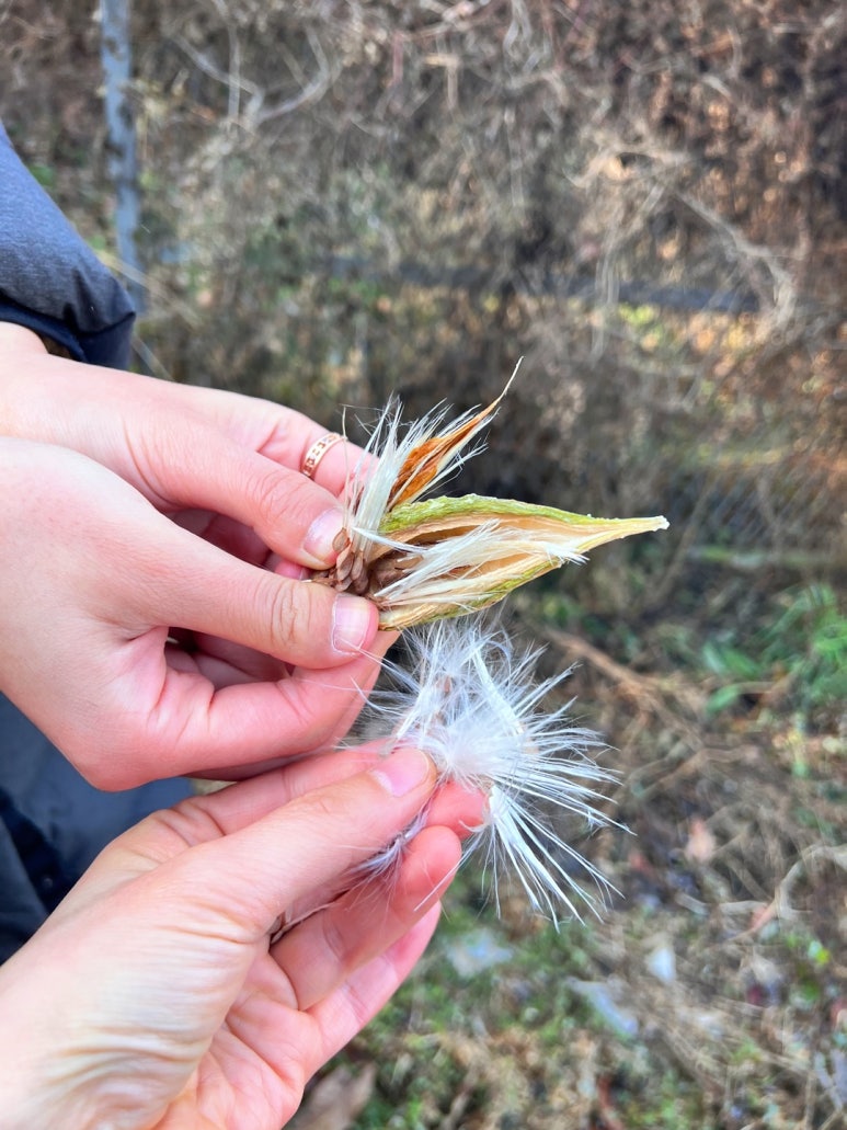 파주 DMZ에서 즐기는 겨울 철새 탐조 및 먹이주기와 파주 질오목 논 습지 방문기 : 네이버 블로그